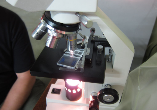 Automated Cell Counting